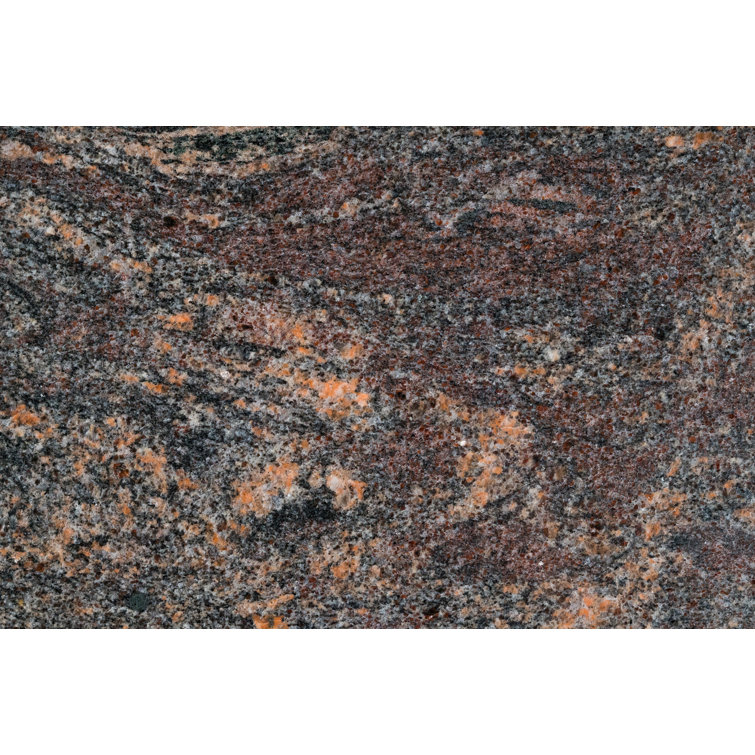Stone & Tile Shoppe, Inc. Paradisso Standard Polished 12" x 12" Granite ...