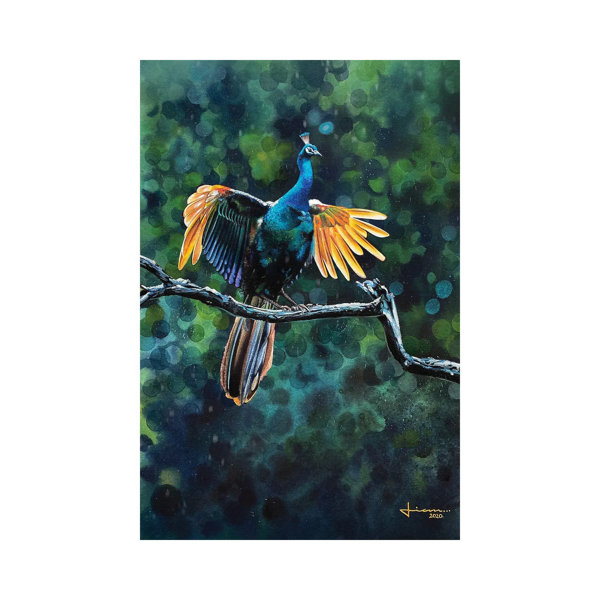 Latitude Vive Peacock Take Off by - Wrapped Canvas | Wayfair.co.uk