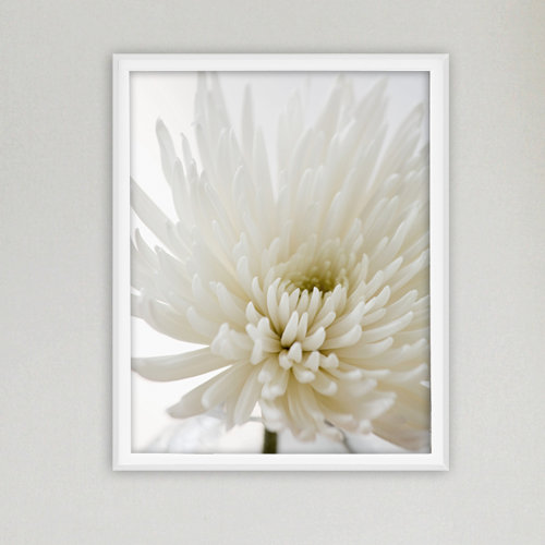 Framatic Fineline Metal Picture Frame & Reviews | Wayfair
