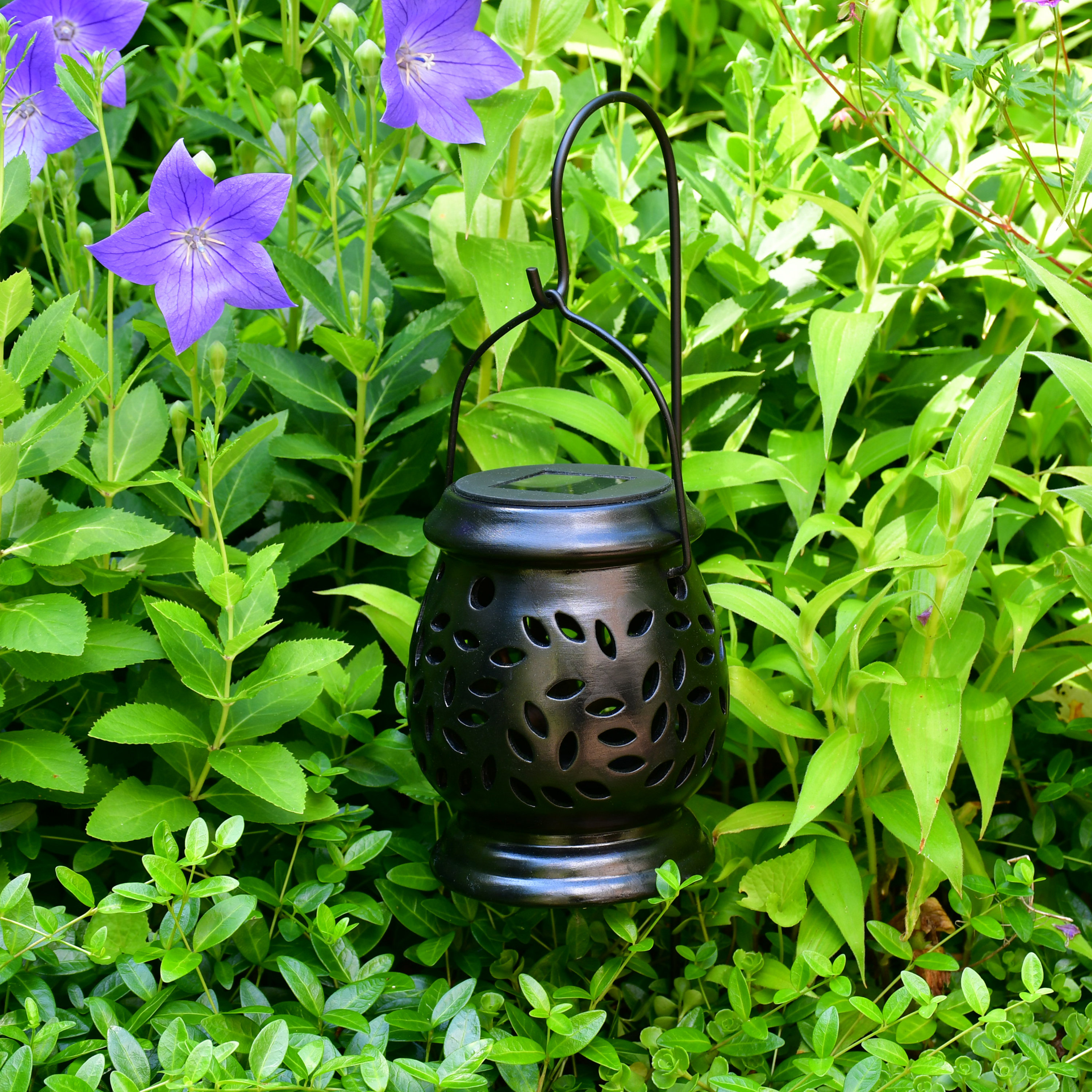 LumaBase Solar Powered Black Ceramic Lantern & Reviews | Wayfair