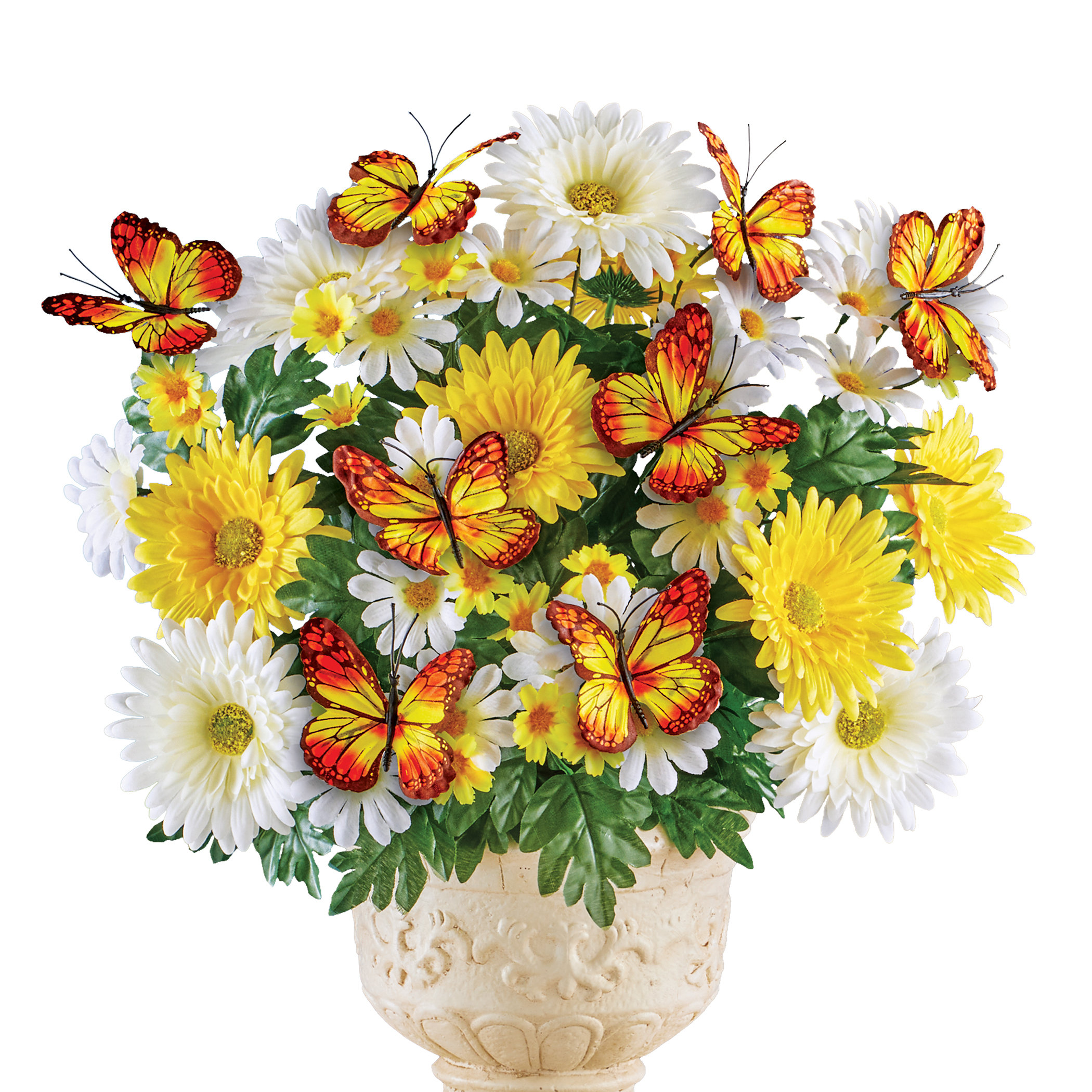 Primrue Butterfly Daisy Bushes | Wayfair