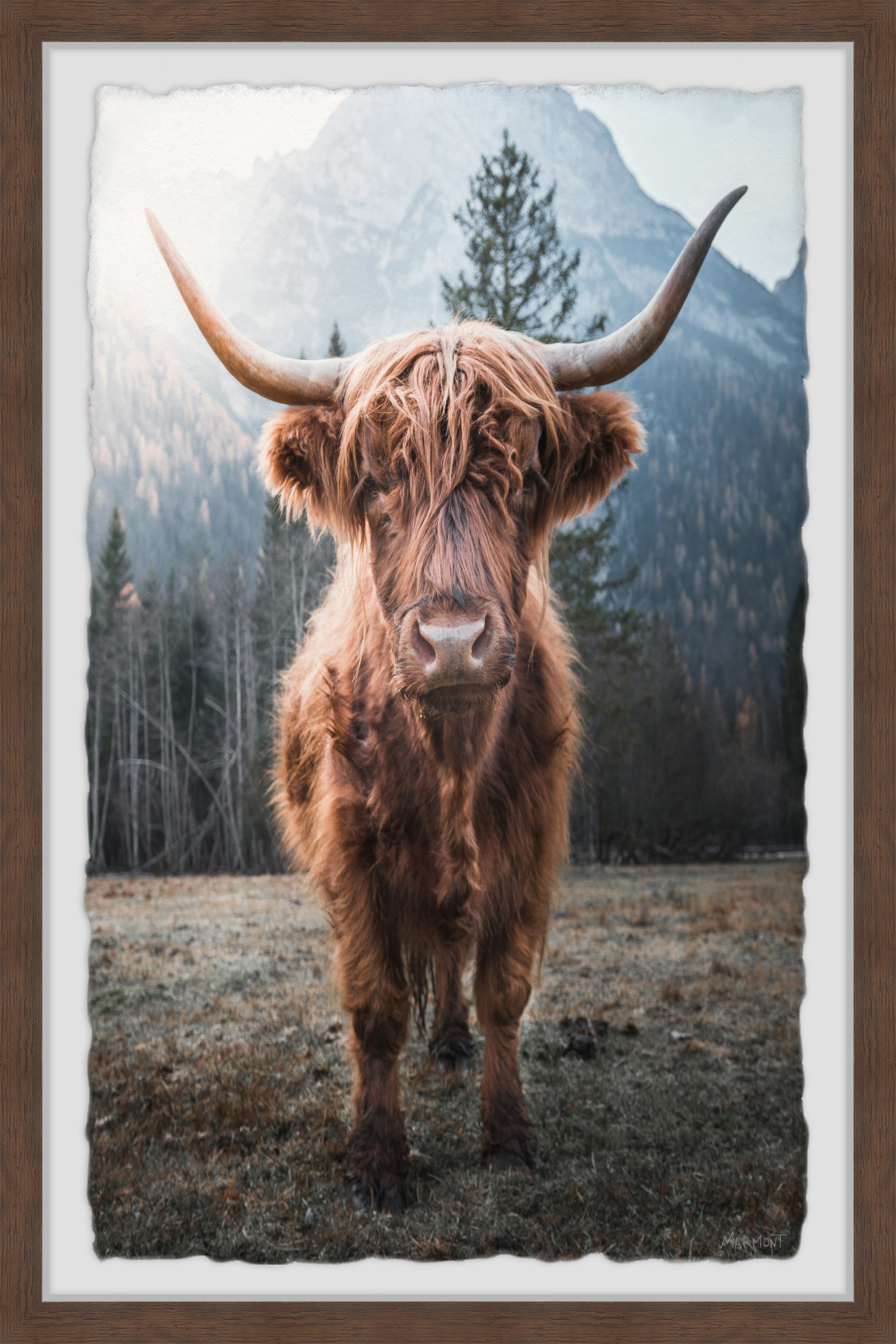 Union Rustic Hug A Cow - Picture Frame Photograph | Wayfair