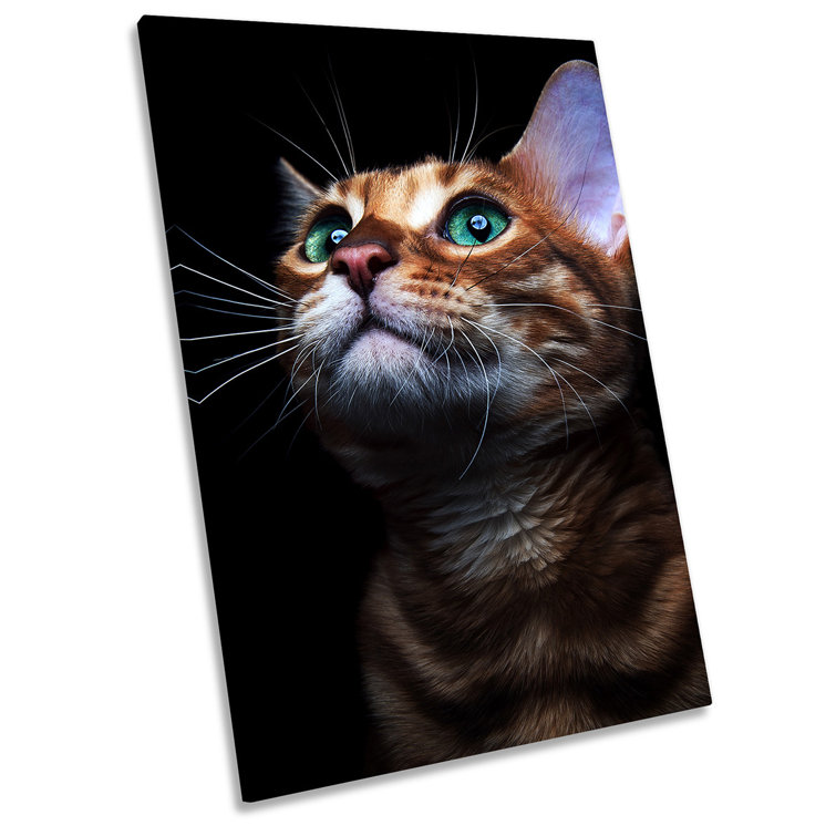 17 Stories Cat Eyes Print - on | Wayfair.co.uk