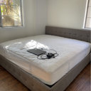 Brayden Studio® Morphis Upholstered Storage Bed & Reviews | Wayfair