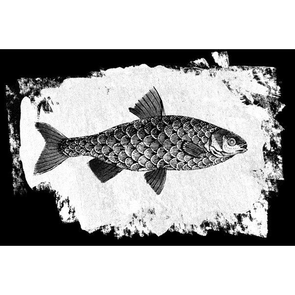 Mic.fish | Wayfair