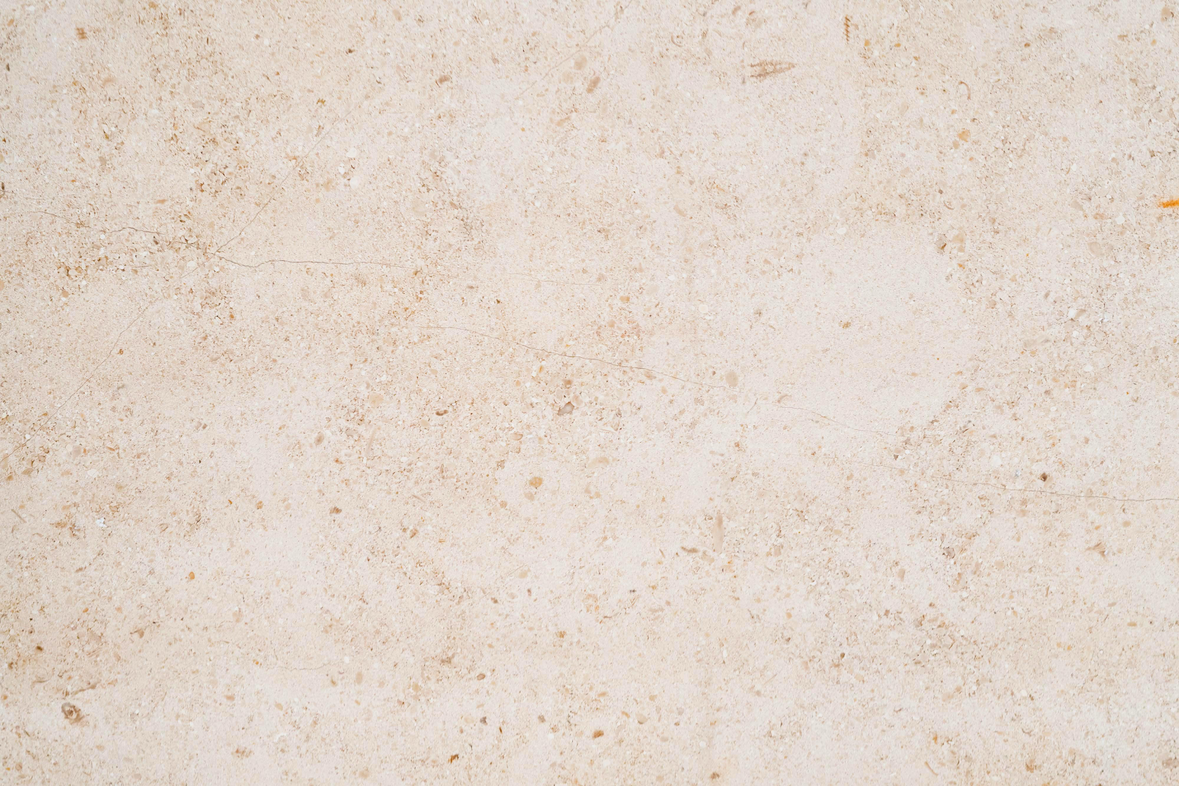 Stone & Tile Shoppe, Inc. 24'' x 24'' Limestone Stone Look Wall & Floor ...