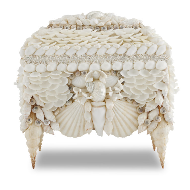 Currey & Company Boardwalk Shell Jewelry Box | Perigold