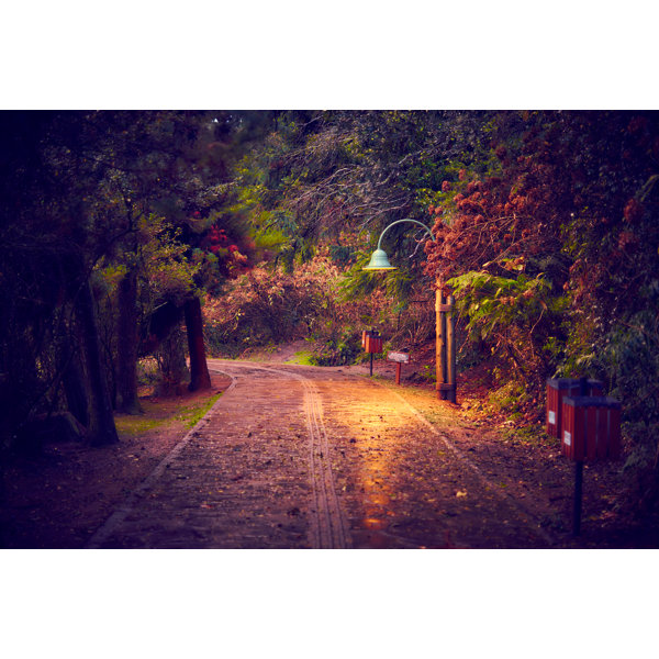 Ainorritta | Wayfair