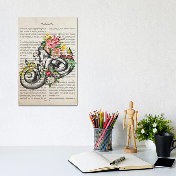 Williston Forge Inner Ear Anatomy Flower Print by - Wrapped Canvas ...