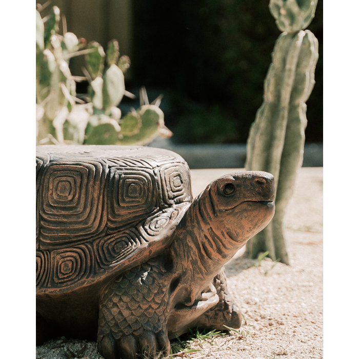 Bayou Breeze Yateley Tortoise Garden Statue | Wayfair