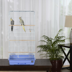 Wayfair | Table Top Bird Cages You'll Love in 2023