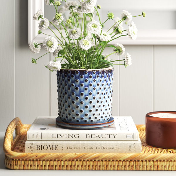 Light-blue-garden-pots | Wayfair