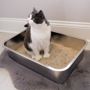 Tucker Murphy Pet™ Koreana Metal Standard Litter Box & Reviews | Wayfair