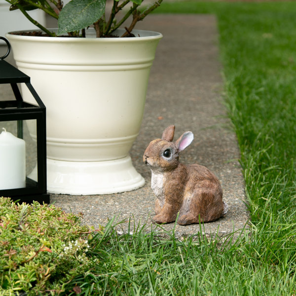 Sitting-bunny-statue | Wayfair