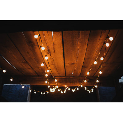 Winston Porter Tavis Outdoor 100 - Bulb 100'' Plug-in Globe String ...