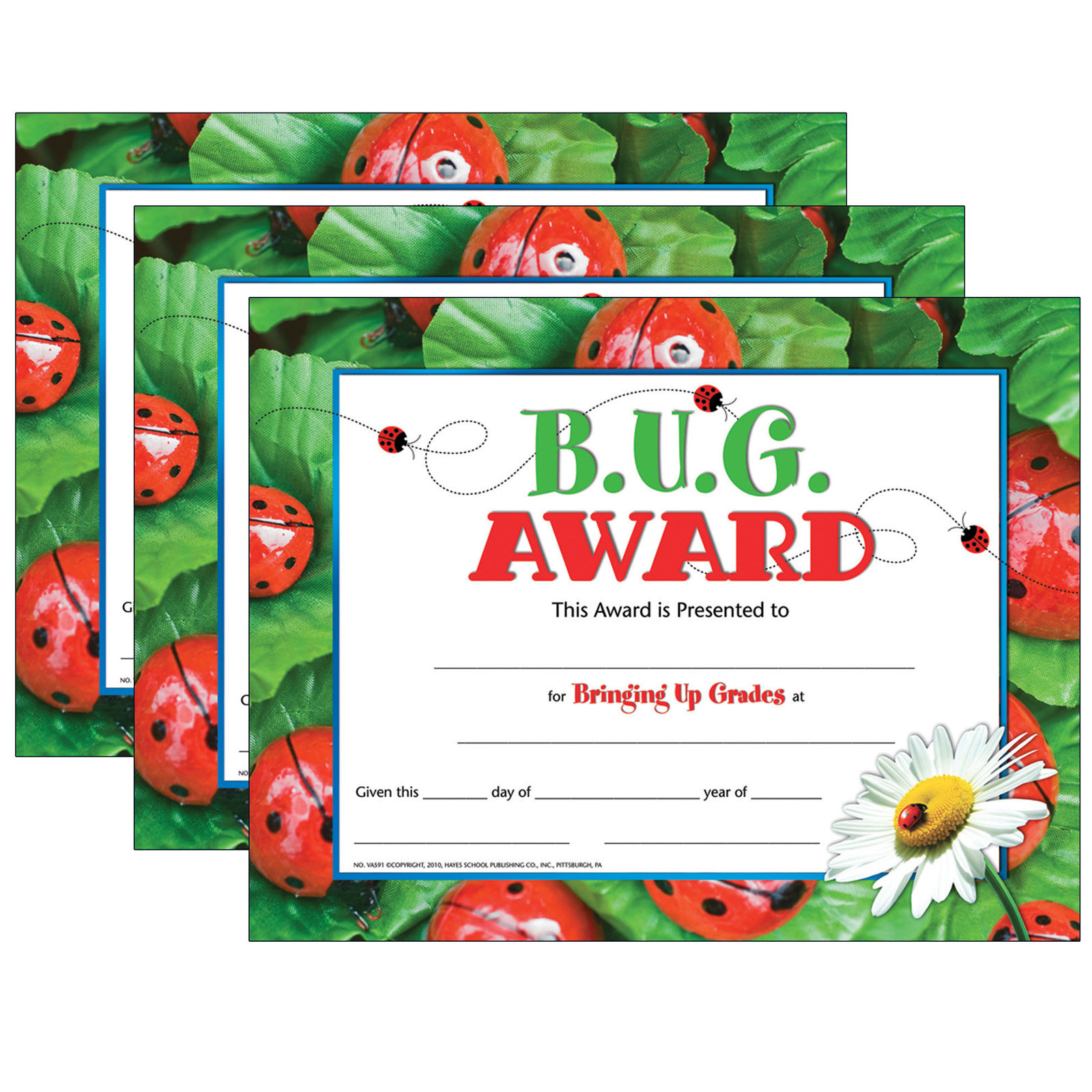 Hayes School Publishing 90 Piece B.U.G. Award Set | Wayfair