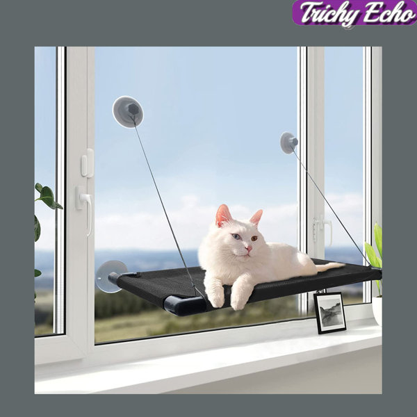 Trichy Echo Window Cat Perch | Wayfair