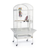 Wayfair | Large Bird Cages