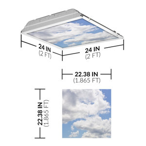 Octo Lights Clouds Flexible Decorative Light Cover | Wayfair