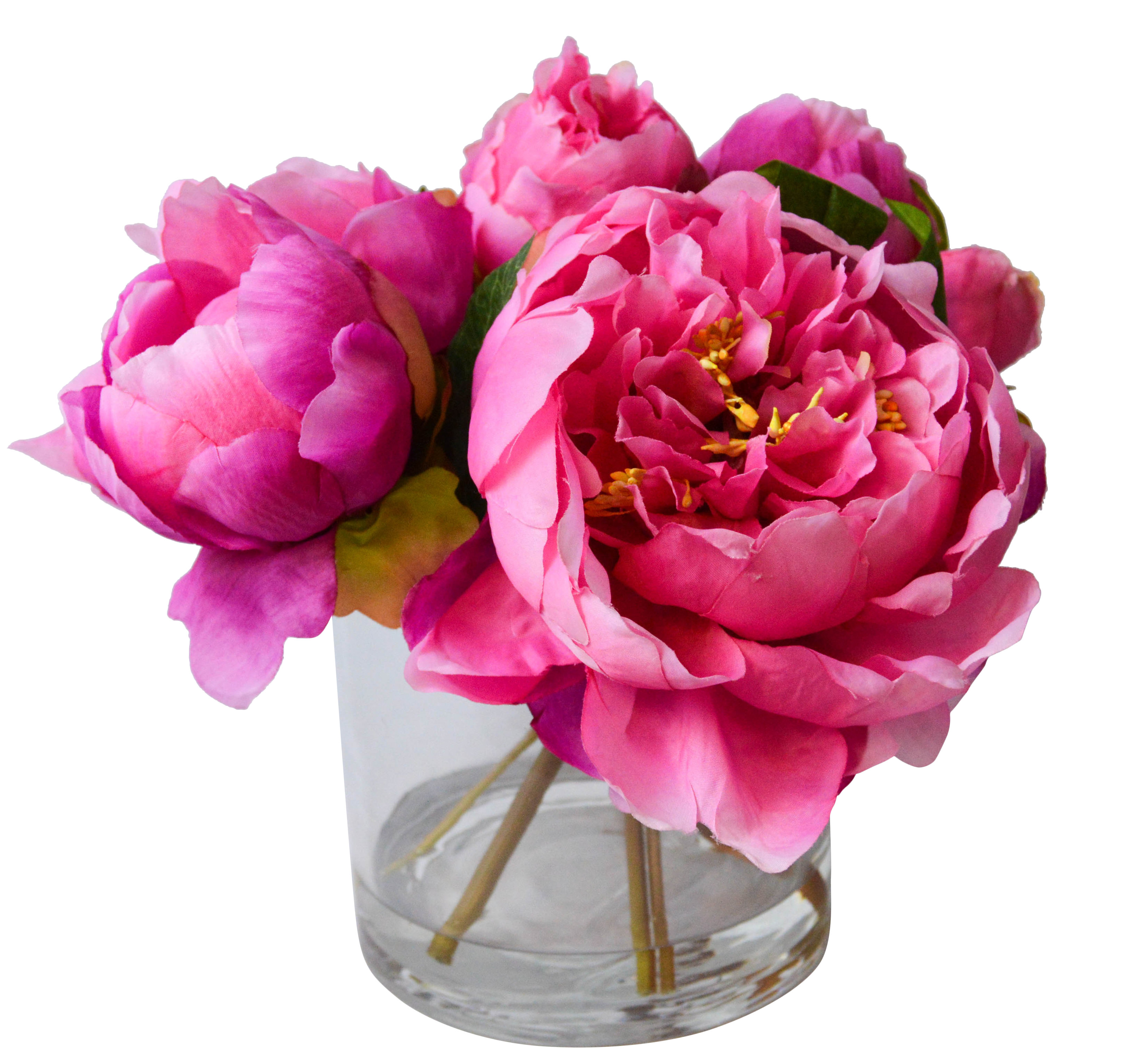 T&C Floral Company Fresh Cut Peony Floral Arrangements in Jar & Reviews ...