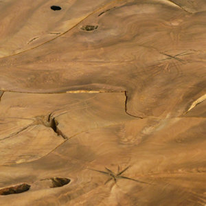 Dovetail Furniture Briar 47-Inch Rectangular Teak Root Block Style ...