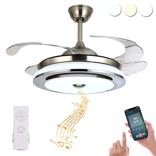 Wayfair | Retractable Blades Ceiling Fans You'll Love in 2023