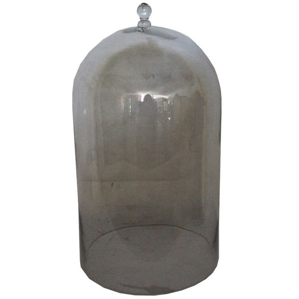Gracie Oaks Modern Glass Cloche & Reviews | Wayfair