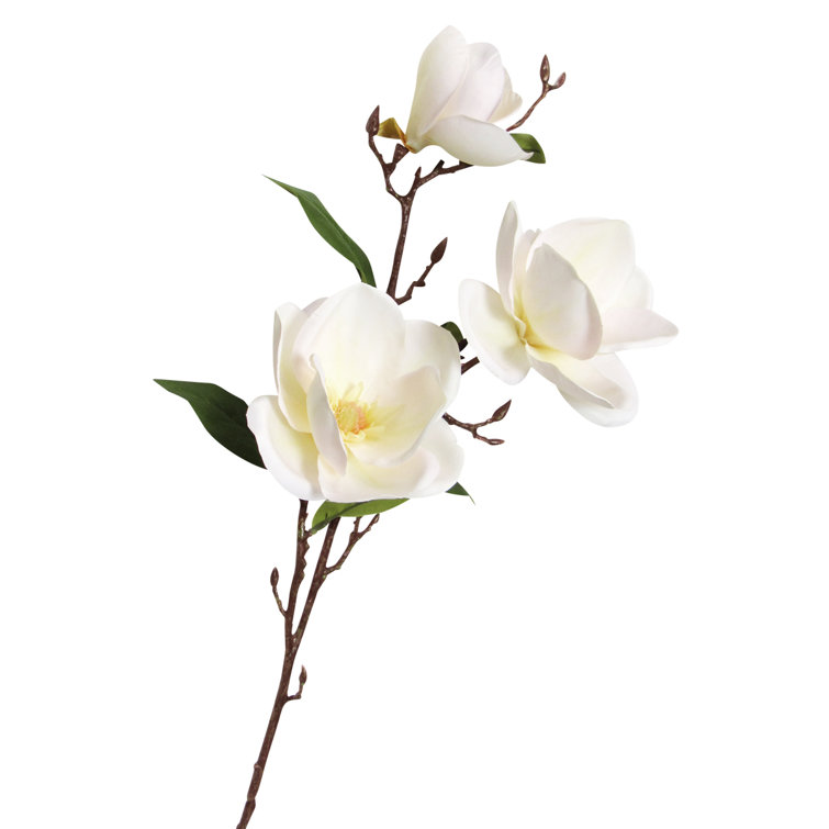 Primrue Magnolia Stem | Wayfair