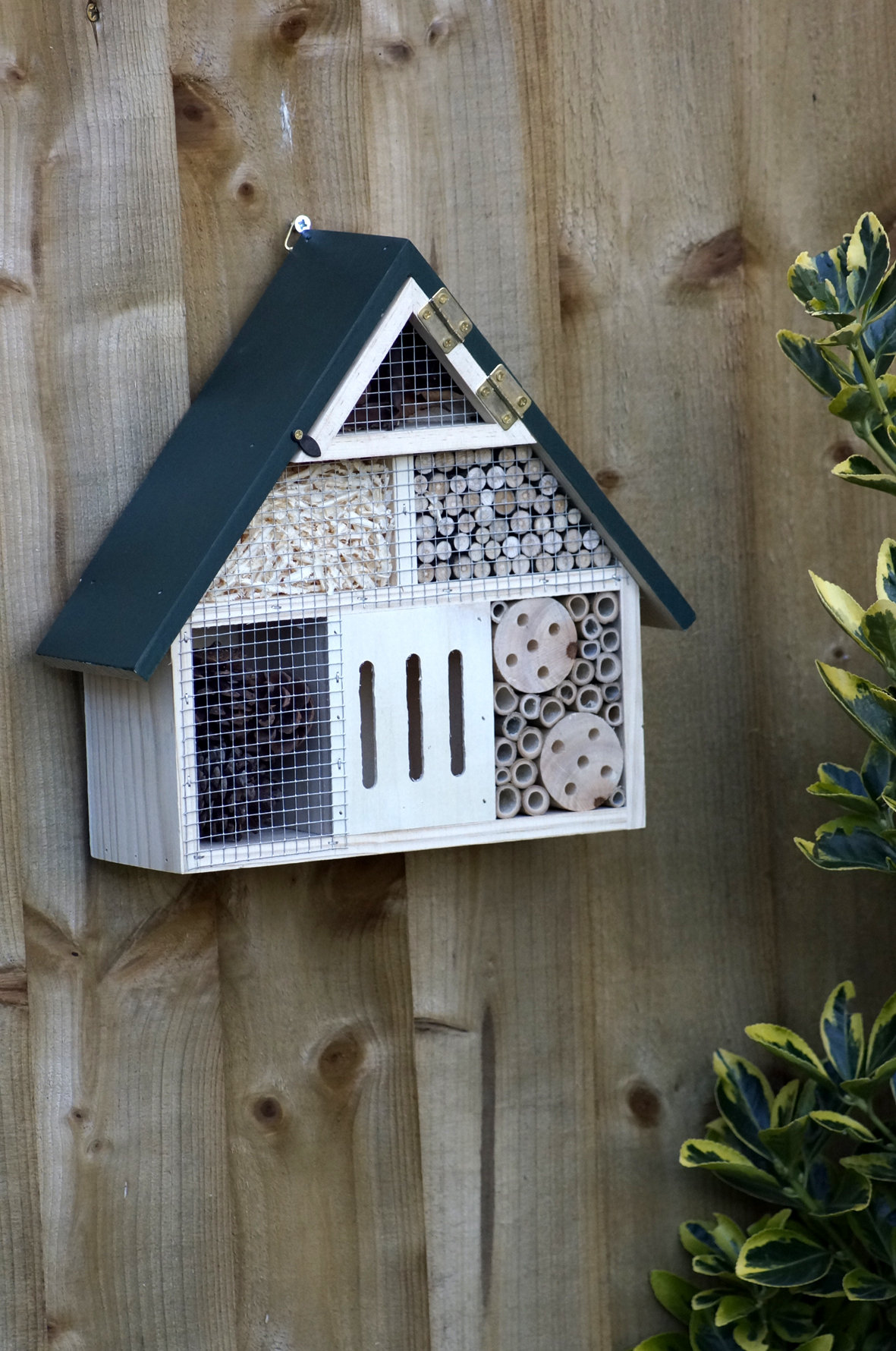 Dakota Fields Odstanus Mounted Bumblebee House | Wayfair.co.uk