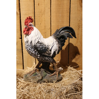 Hi-Line Gift Ltd. Rooster Statue & Reviews | Wayfair