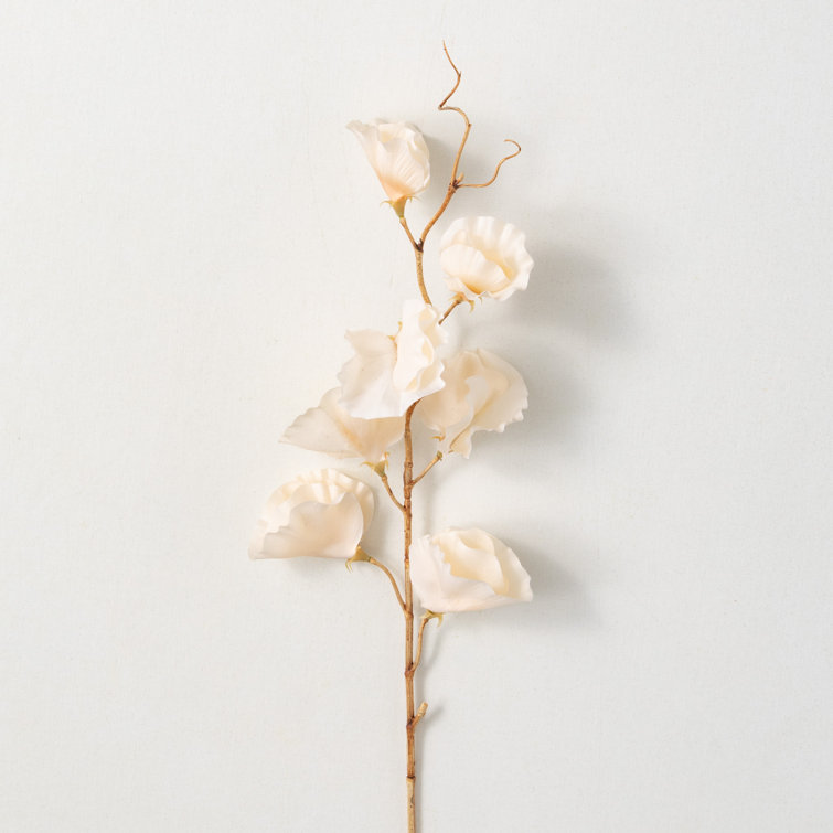 Primrue 22.5" Silky Cream Sweet Pea; Cream | Wayfair