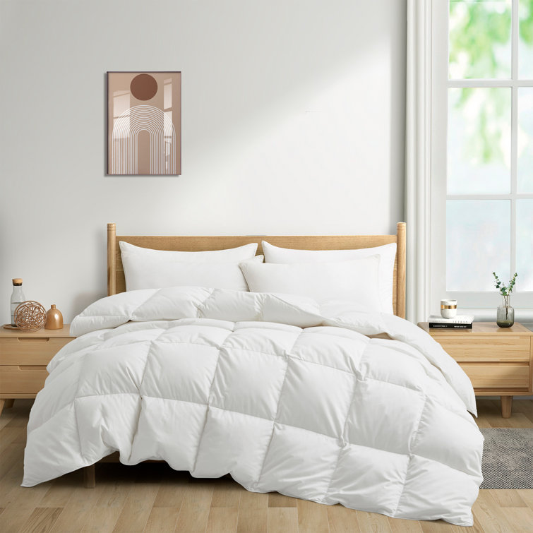 Alwyn Home 600 Fill Power All Seasons Down Comforter & Reviews | Wayfair