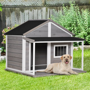 Wayfair | Dog Houses You'll Love in 2022