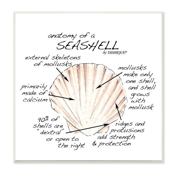 Stupell Industries Anatomy Of Seashell Educational Marine Life Facts ...