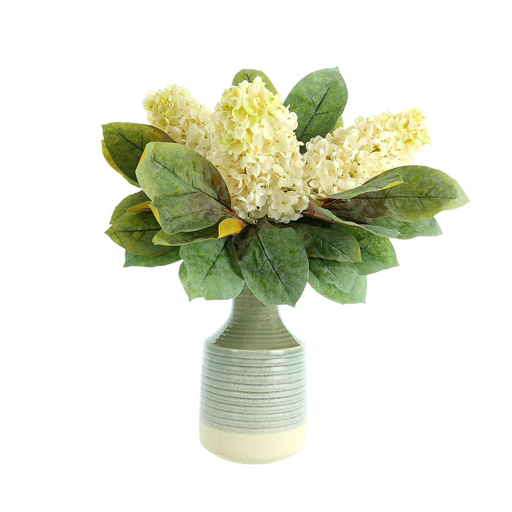 Primrue Cone Hydrangea and Magnolia Leaf Arrangement in a Ceramic Vase ...