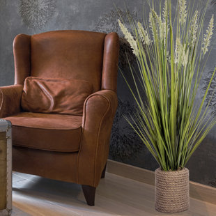 Wayfair | Indoor Plants in Decorative Vase You'll Love in 2023