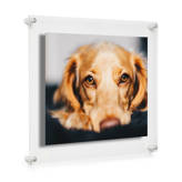 Cool Modern Frames Picture Frame - Set of 2 & Reviews | Wayfair