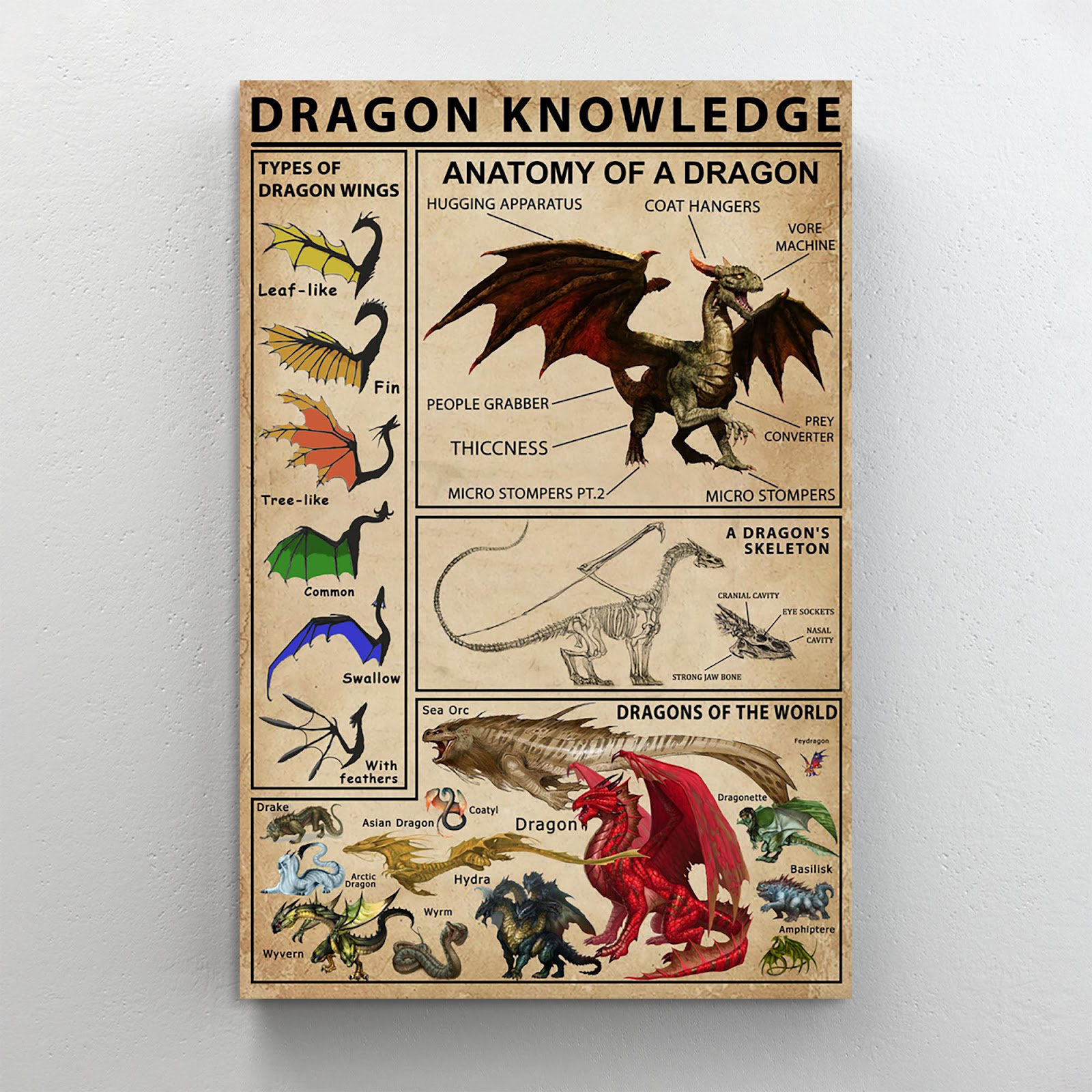 Trinx Dragon Knowledge - Wrapped Canvas Graphic Art | Wayfair