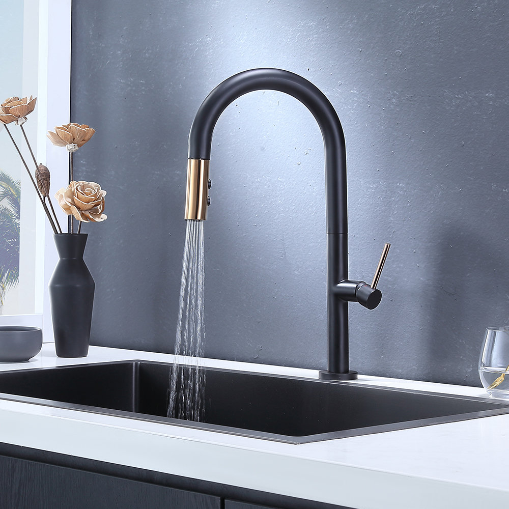 VAPSINT Pull Down Kitchen Faucet & Reviews | Wayfair