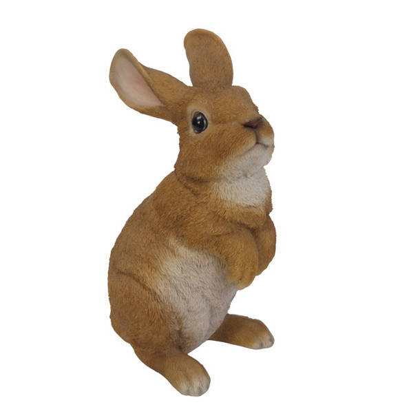 Hi-Line Gift Ltd. Standing Rabbit Statue & Reviews | Wayfair