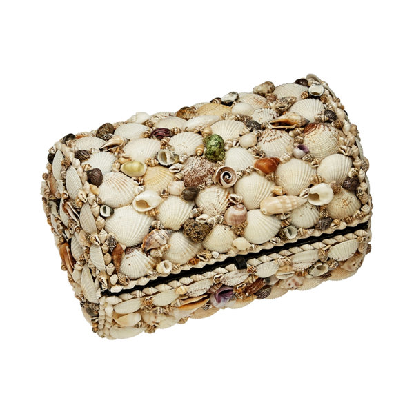 Rosecliff Heights Large Natural Seashell Treasure Box | Wayfair