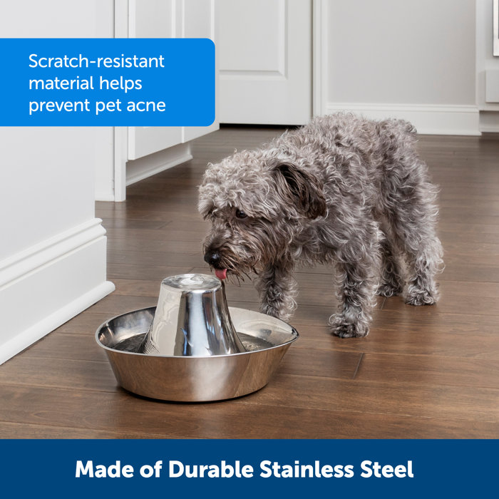 PetSafe® Seaside Stainless Pet Fountain & Reviews | Wayfair