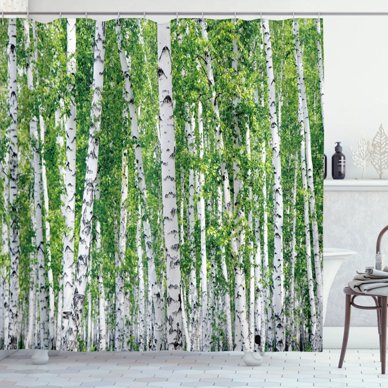 East Urban Home Birch Tree Shower Curtain Set + Hooks & Reviews | Wayfair