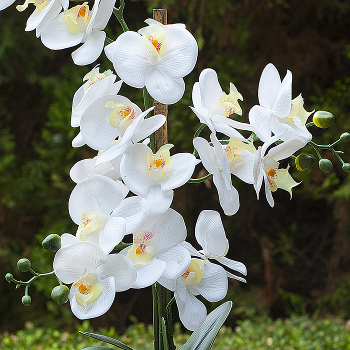 Primrue Artificial Real Touch Orchids Floral Arrangement in Pot ...