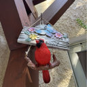 Hi-Line Gift Ltd. Hanging Cardinal on a Branch & Reviews | Wayfair