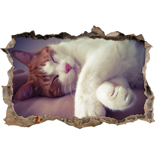 Maturi Sleeping Cat Wall Sticker | Wayfair.co.uk