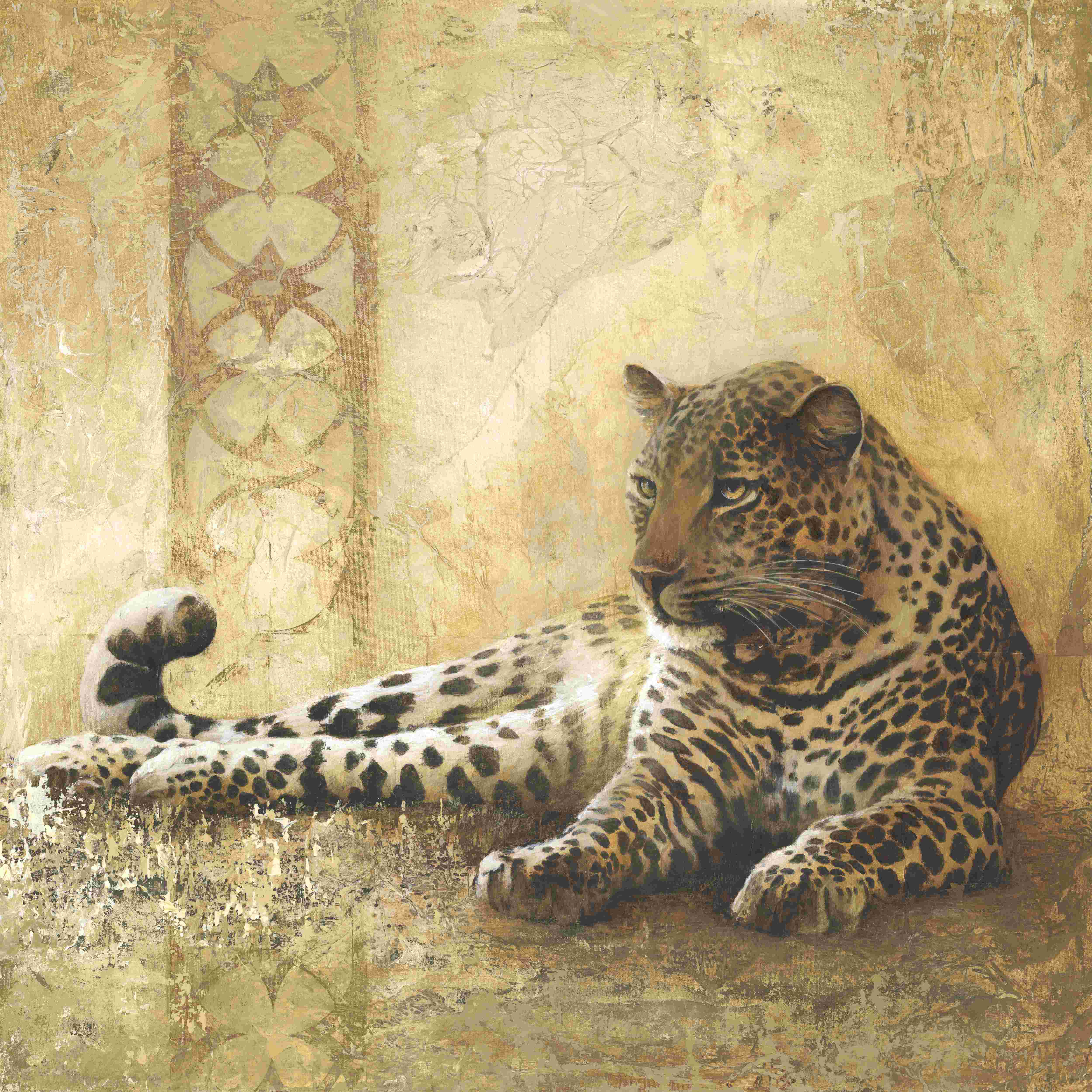 Bungalow Rose Cheetah Laying Down - Wrapped Canvas Print | Wayfair