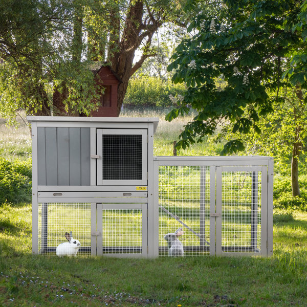 Tucker Murphy Pet™ Faron Weather Resistant Rabbit Hutch With Ramp ...