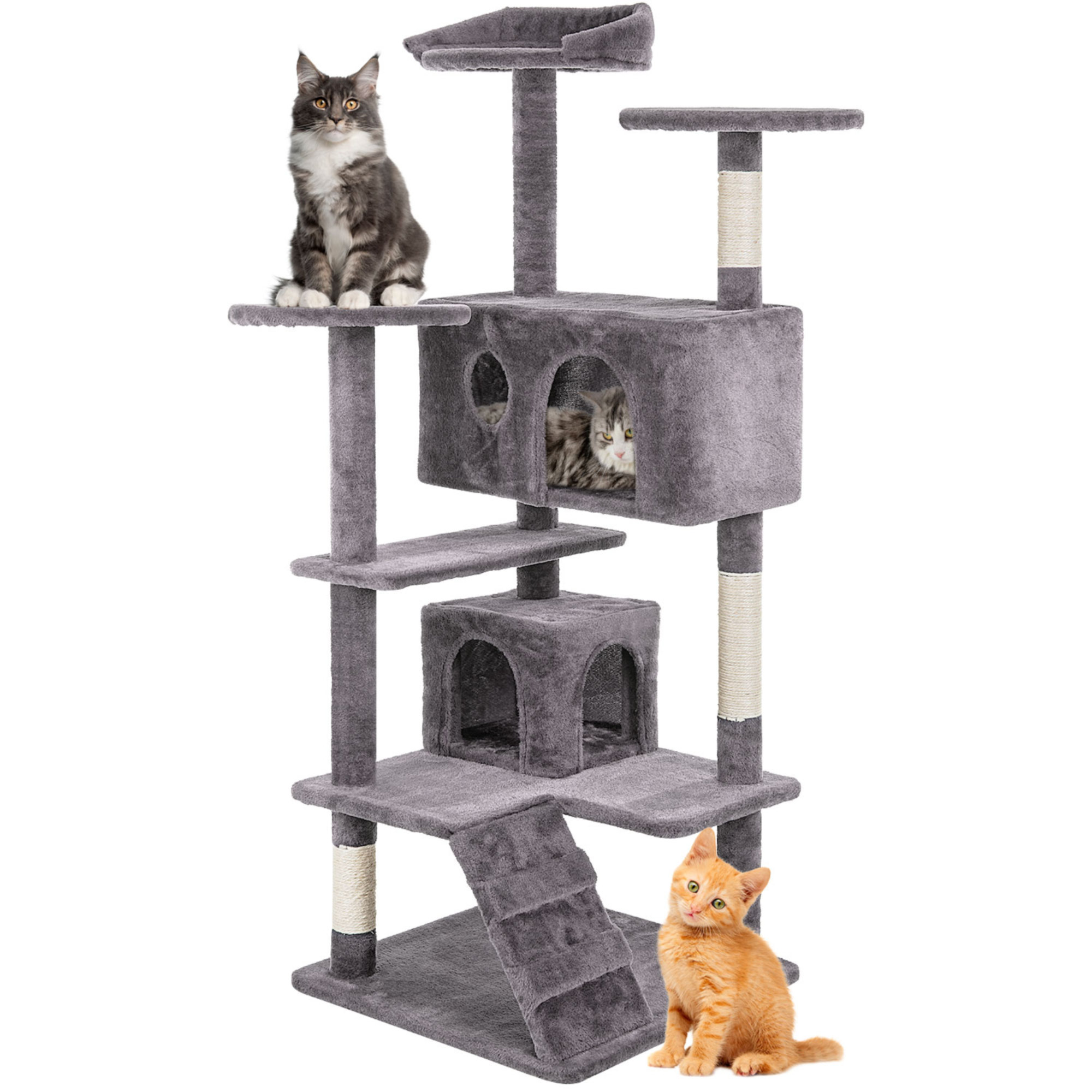 Tucker Murphy Pet™ 52'' Bionda Tucker Murphy Pet Cat Tree | Wayfair