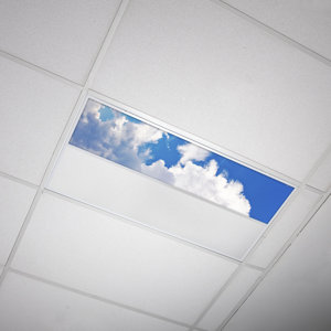 Octo Lights Clouds Flexible Decorative Light Cover | Wayfair